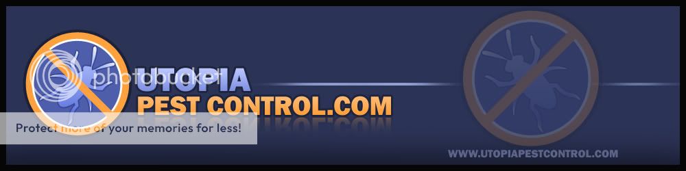 $110 logo/header contest! Pest Control Website! | Page 3